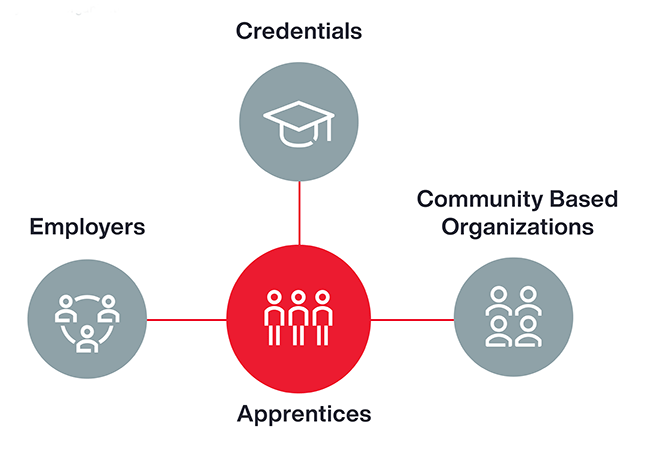 Apprentice Network - Pathways to an Inclusive Innovation Economy