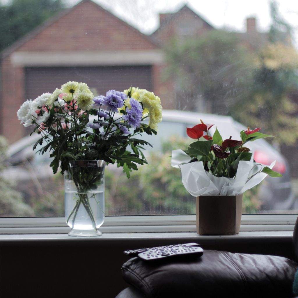 2017 Art Gallery | Art Awards